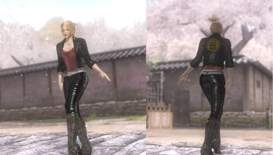 死或生5 SARAH BRYANT Jacket Black DLC 001 Alternative Mod V1.0 下载- 3DM Mod站