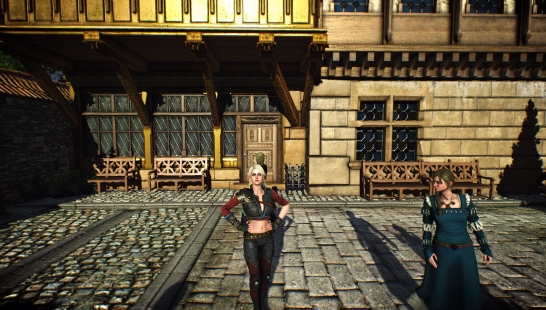 巫师3：狂猎 TW3 动画 Mod V1.22 下载- 3DM Mod站