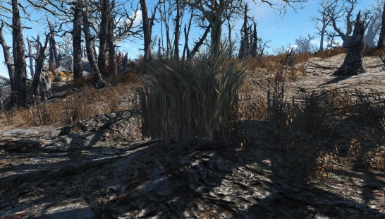 辐射4 没有漂浮的razorgrain Mod V1 下载- 3DM Mod站