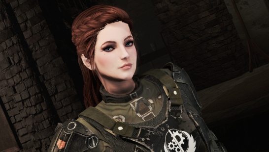 辐射4 Kayle-BOS Star Paladin预设 Mod V1.0 下载- 3DM Mod站