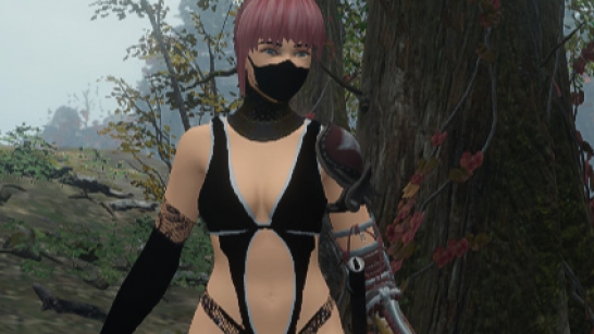 只狼：影逝二度 Black Kunoichi Mod V1.0 下载- 3DM Mod站