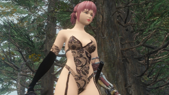 只狼：影逝二度 Black Lingerie Mod V1.0 下载- 3DM Mod站
