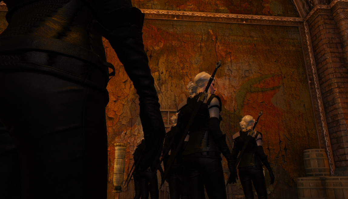 Ciri wears dark Viper armor下载_V1.0版本_巫师3：狂猎 Mod下载-3DM MOD站