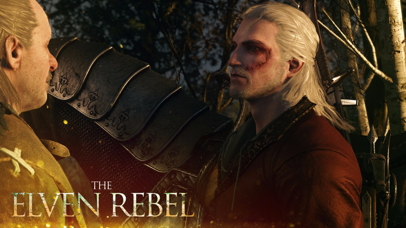 The Elven Rebel（精灵叛逆）下载_V1.0版本_巫师3：狂猎 Mod下载-3DM MOD站