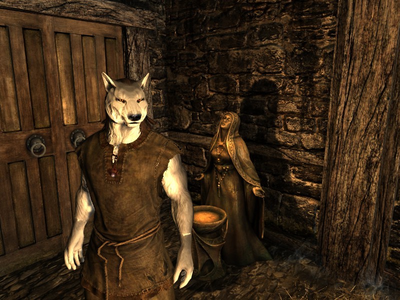 Vukasin下载_V1.1版本_上古卷轴5：重置版 Mod下载-3DM MOD站