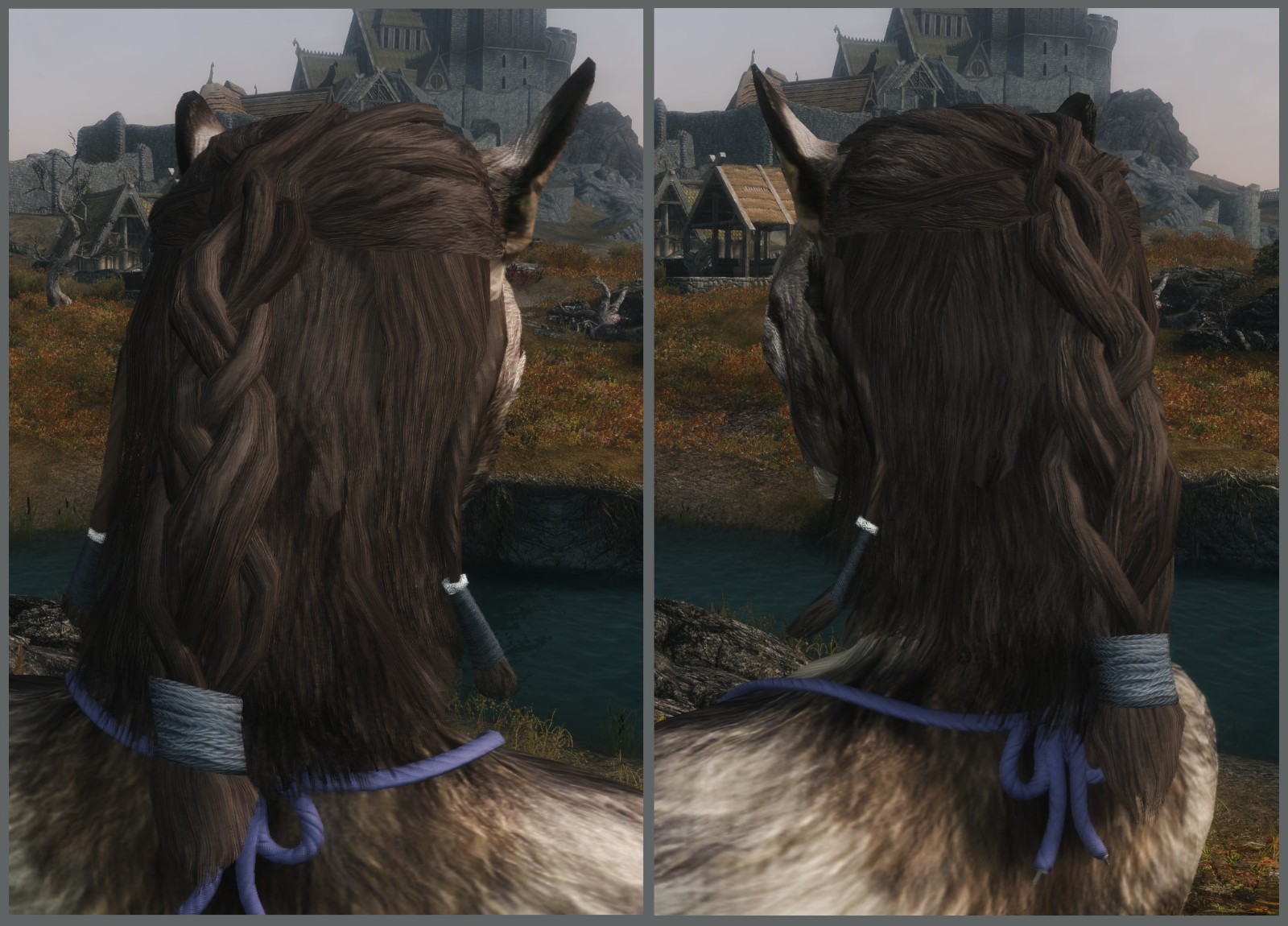 Saerileth的Khajiit Hair下载_V1.0版本_上古卷轴5：重置版 Mod下载-3DM MOD站