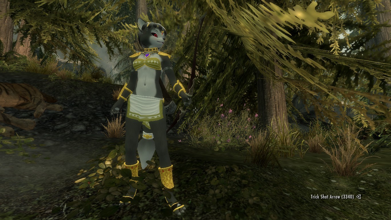 Cerinian Race SE下载_V1.0版本_上古卷轴5：重置版 Mod下载-3DM MOD站