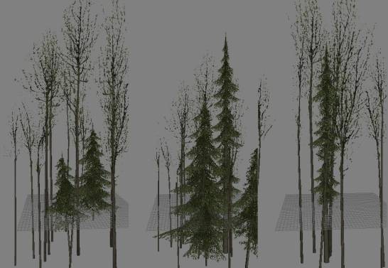 Dense rePolished Trees 密集的树木下载_V1.1版本_骑马与砍杀 Mod下载-3DM MOD站