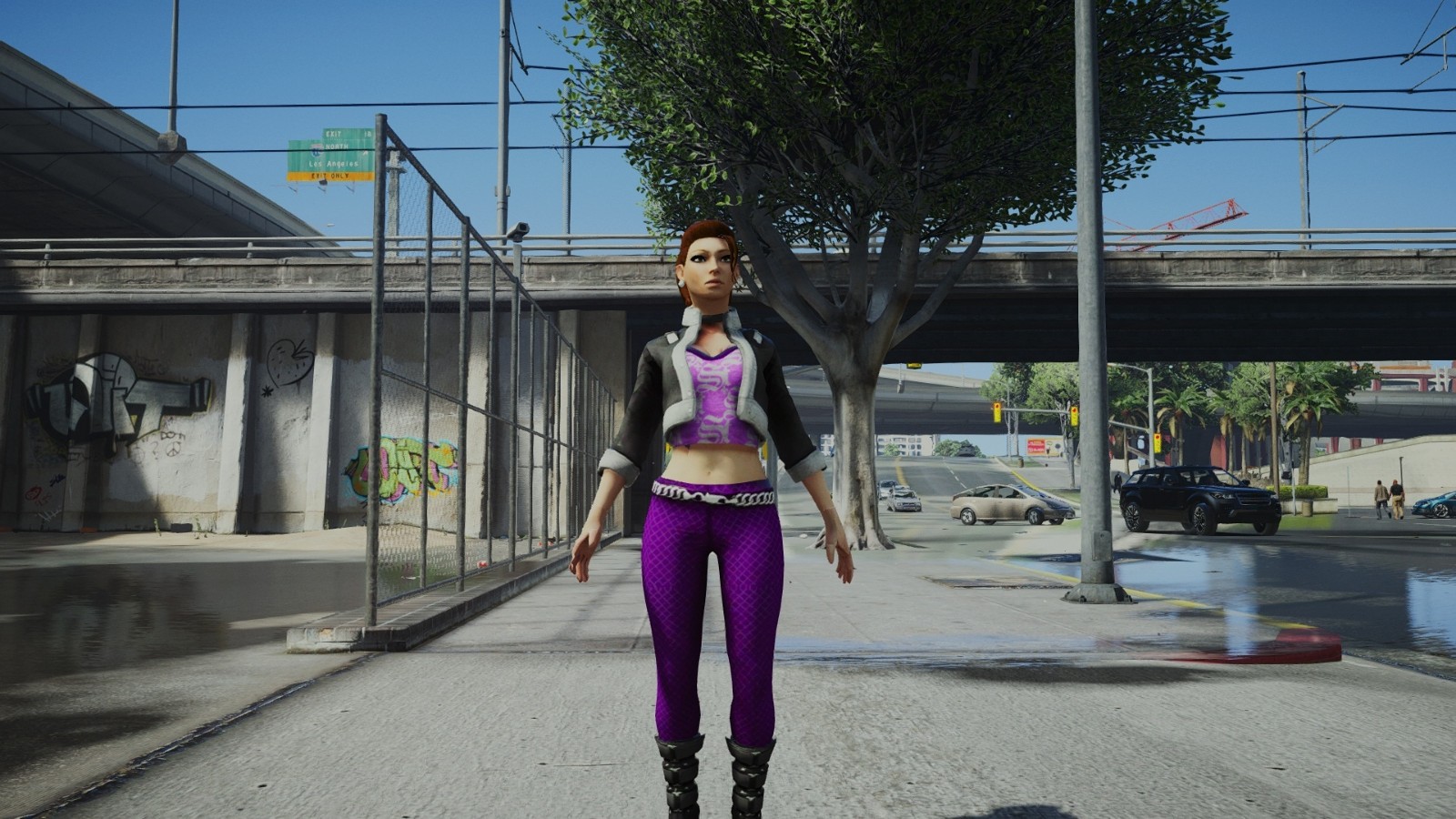 Shandi来自Saints Row The Third下载_V1.0版本_侠盗猎车手系列 Mod下载-3DM MOD站