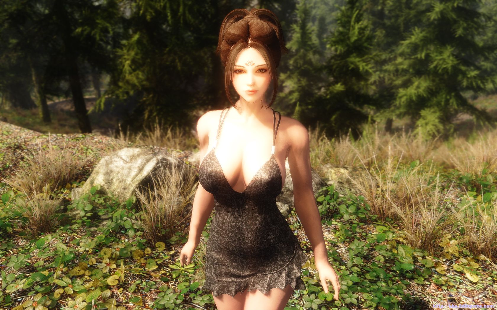 上古卷轴5：天际 上古卷轴5：天际 国风御姐武媚娘独立随从MOD Mod 全版本 下载 | 3DM Mod站